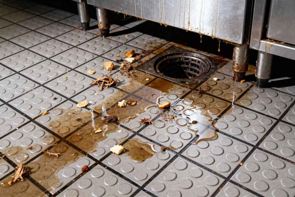 Plumbing Emergencies Restaurants Avoid With Regular Drain Cleaning